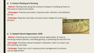 Afforestation techniques and its types.pptx