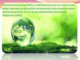 Afforestation | PPTX