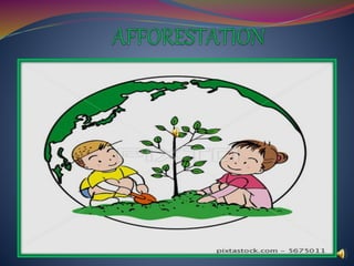 Afforestation | PPTX