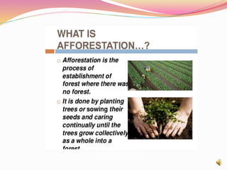 Afforestation | PPTX