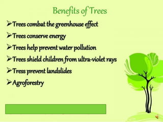 Afforestation | PPTX