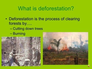 Afforestation | PPTX
