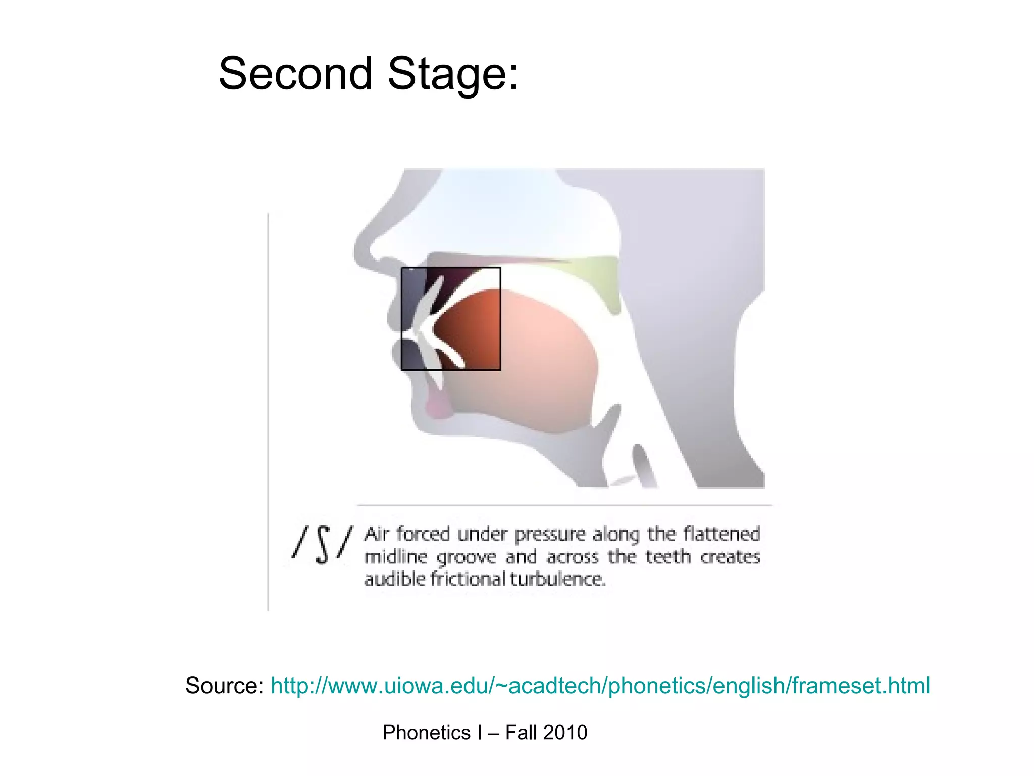 Affricate sounds 2010 | PPT