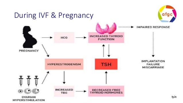 Effect of Strict control of TSH on IVF outcome- Dr Kaberi Banerjee, A…