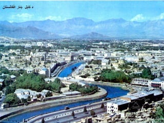 qais | PPTX