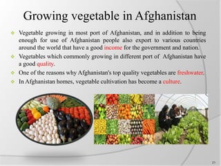 Afghanistan agriculture information | PPTX