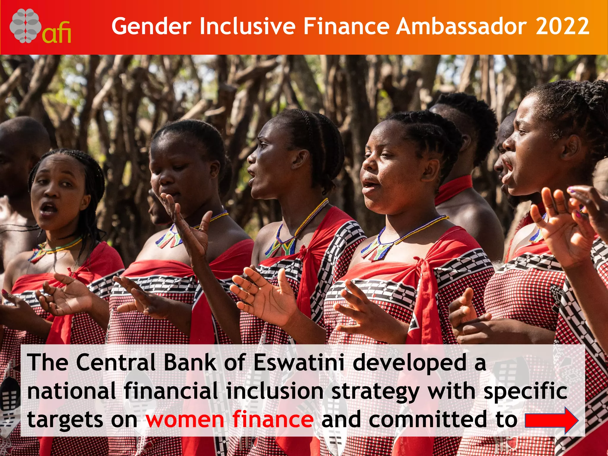 AFI 2022 Gender Inclusive Finance Ambassador .pdf