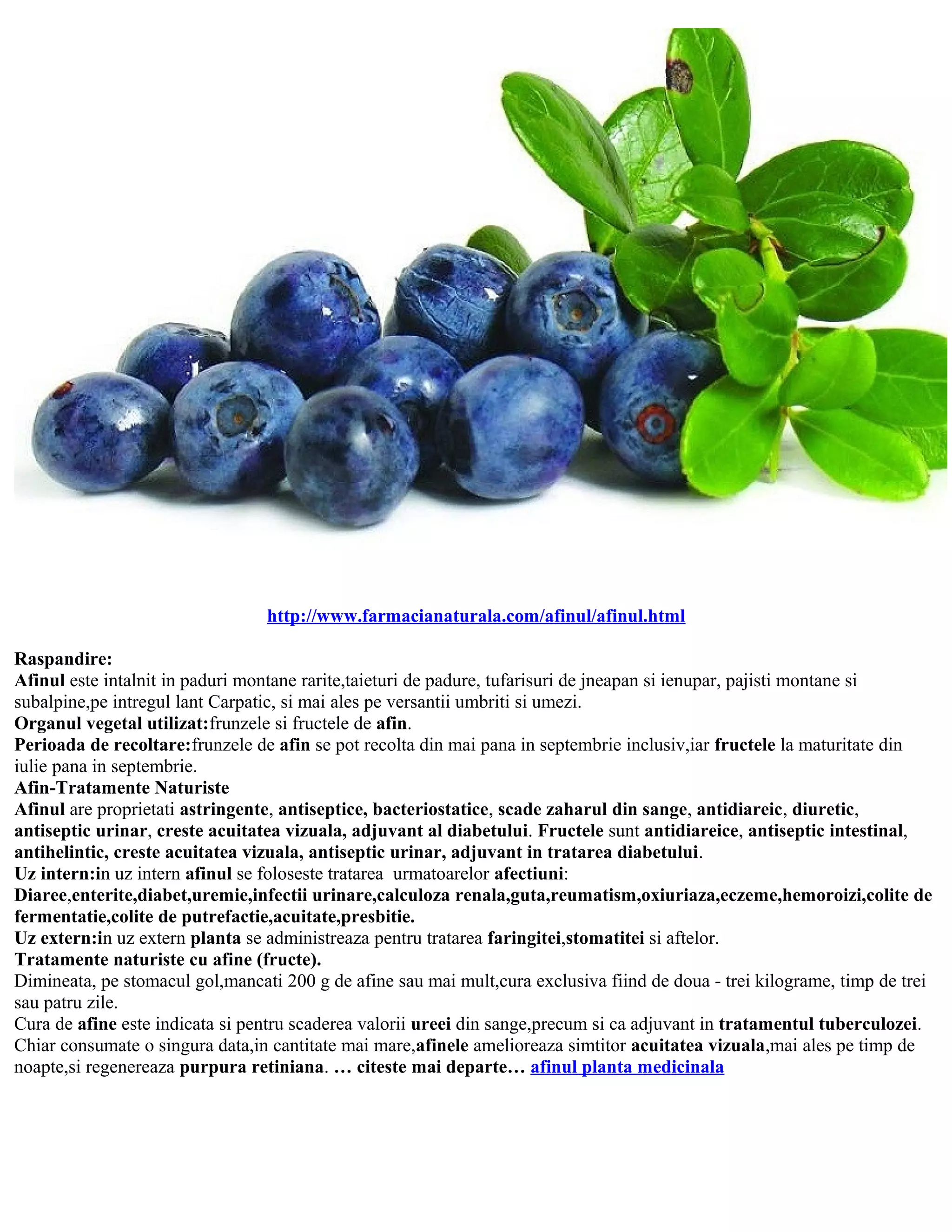 Afinul planta medicinala | DOC