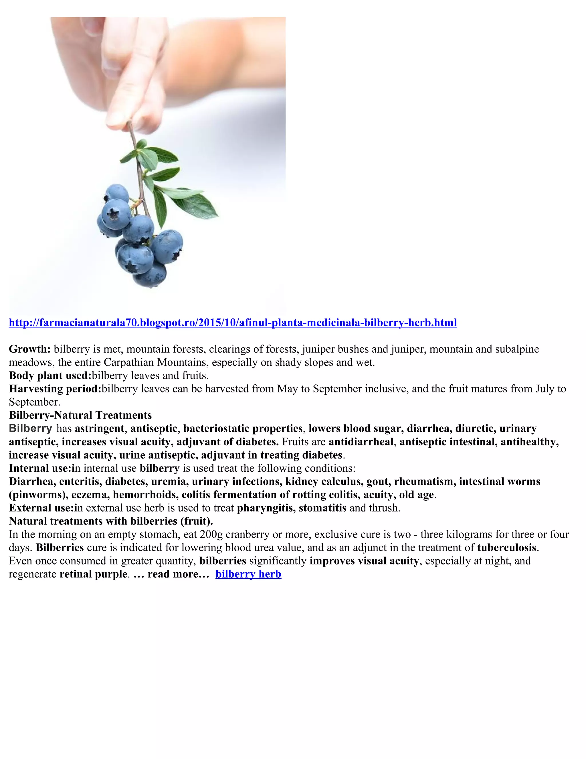 Afinul planta medicinala | DOC