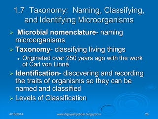 Theme of microbiology | PDF