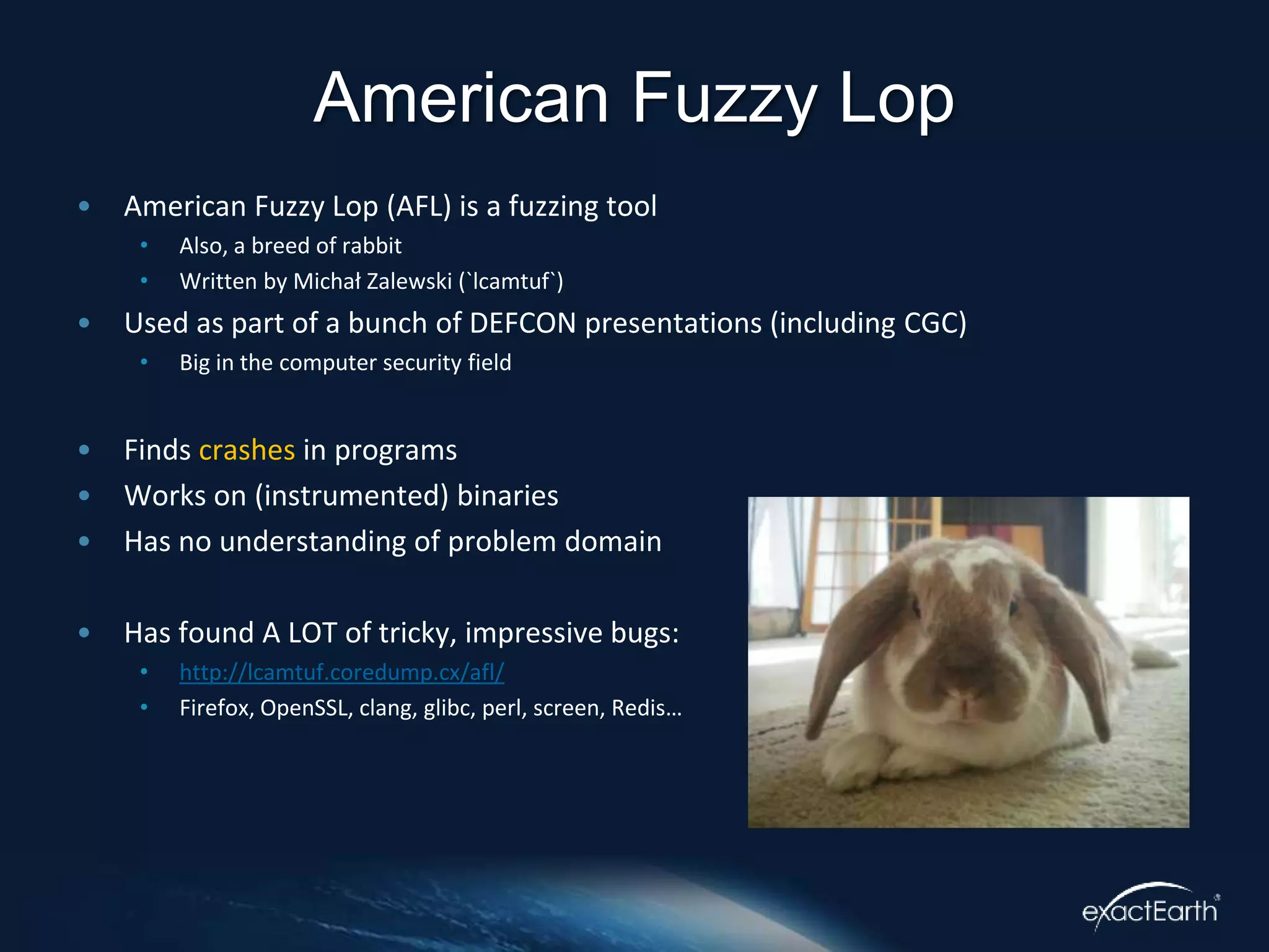 American Fuzzy Lop | PPTX