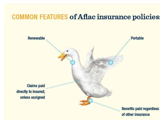 Aflac Employee Presentation | PPTX
