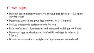 Aflatoxicosis | PDF