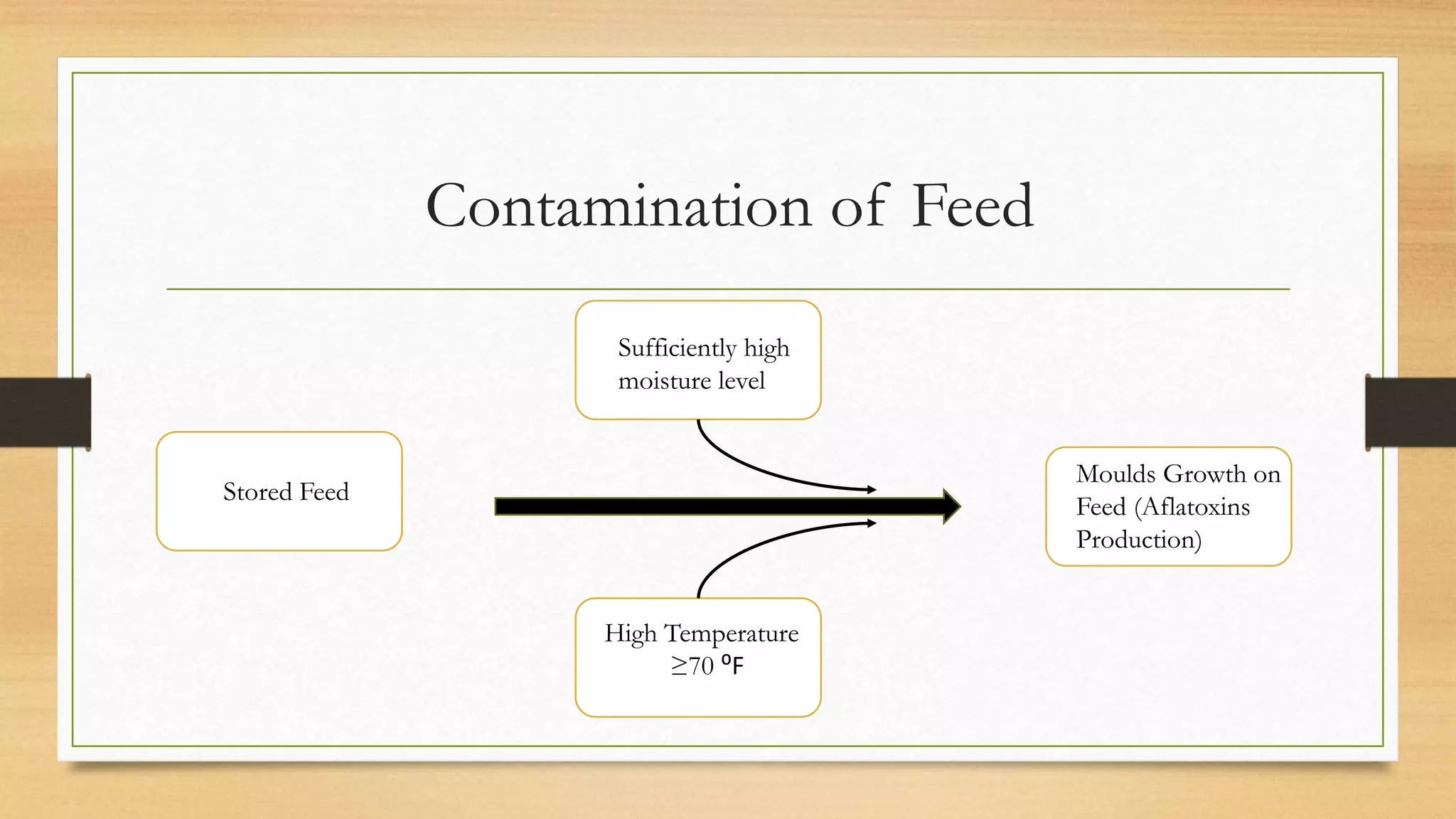 (Aflatoxicosis in poultry) | PPTX