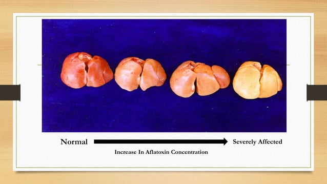 (Aflatoxicosis in poultry) | PPTX