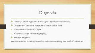 (Aflatoxicosis in poultry) | PPTX