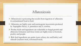 (Aflatoxicosis in poultry) | PPTX