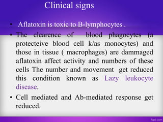 Aflatoxicosis poultry | PPT