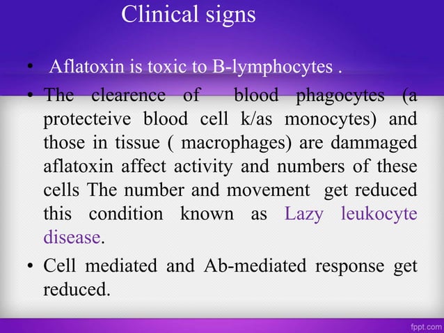 Aflatoxicosis poultry | PPT | Digestive Disorders | Diseases and Conditions