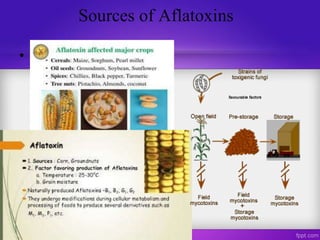 Aflatoxicosis poultry | PPT