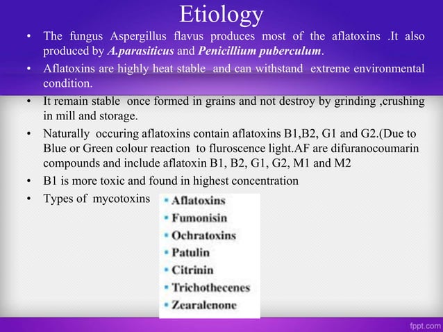 Aflatoxicosis poultry | PPT | Digestive Disorders | Diseases and Conditions