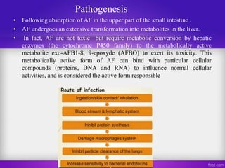 Aflatoxicosis poultry | PPT