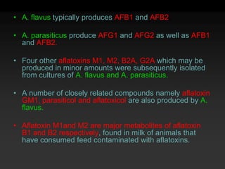Aflatoxin | PPTX