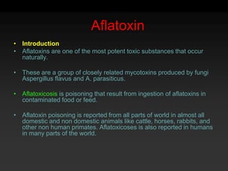 Aflatoxin | PPT