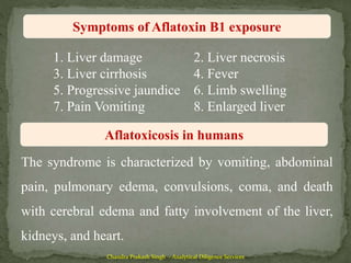 Aflatoxin.pdf