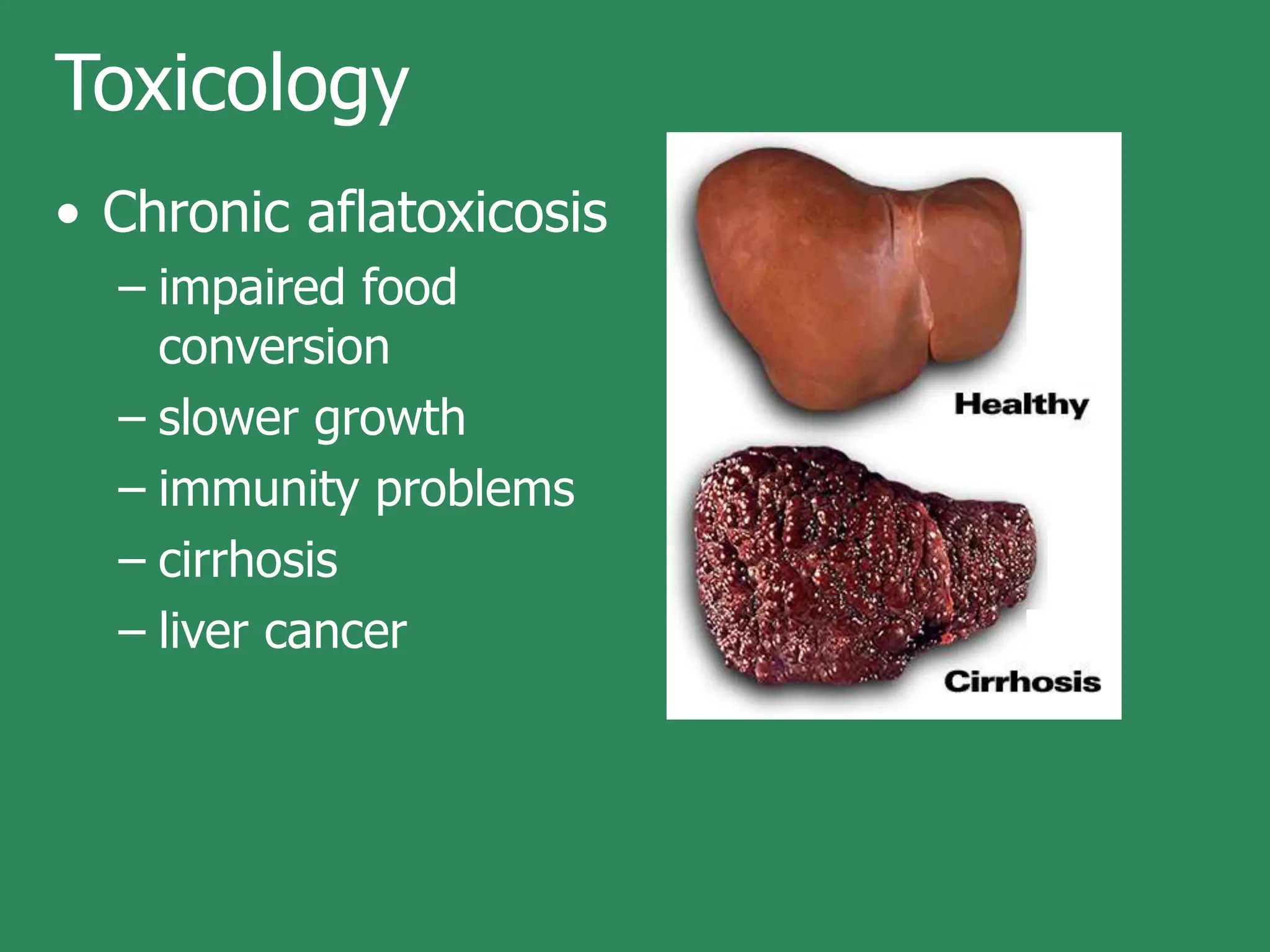 aflatoxins; Sources and hazardous health effects.ppt