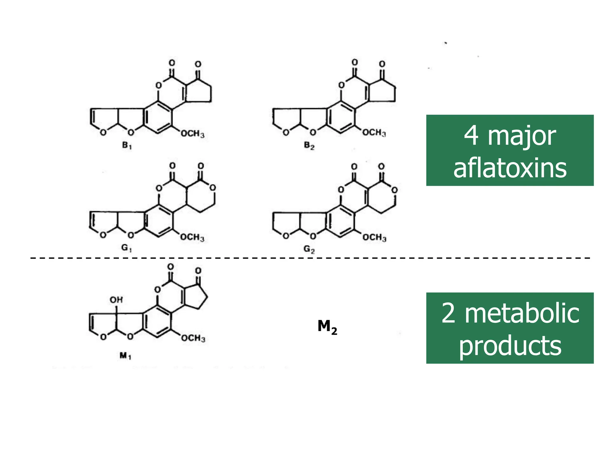 aflatoxins; Sources and hazardous health effects.ppt