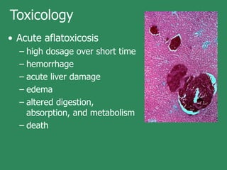 aflatoxins; Sources and hazardous health effects.ppt