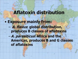 aflatoxins; Sources and hazardous health effects.ppt