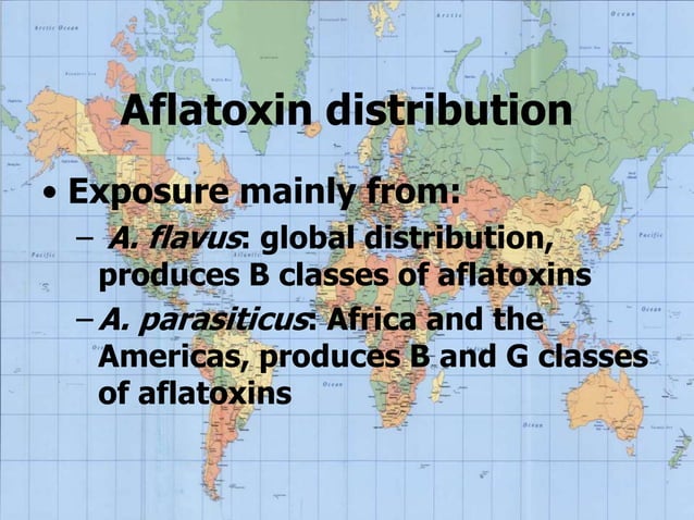 aflatoxins; Sources and hazardous health effects.ppt | Infectious ...