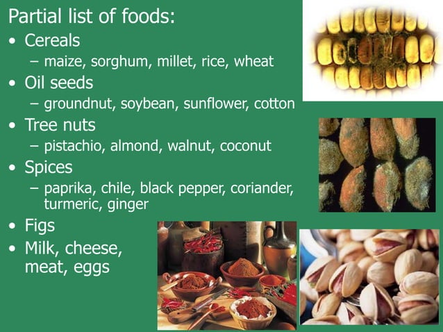 aflatoxins; Sources and hazardous health effects.ppt | Infectious ...