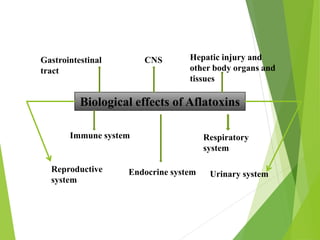 Aflatoxin | PPTX
