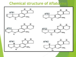 Aflatoxin | PPTX