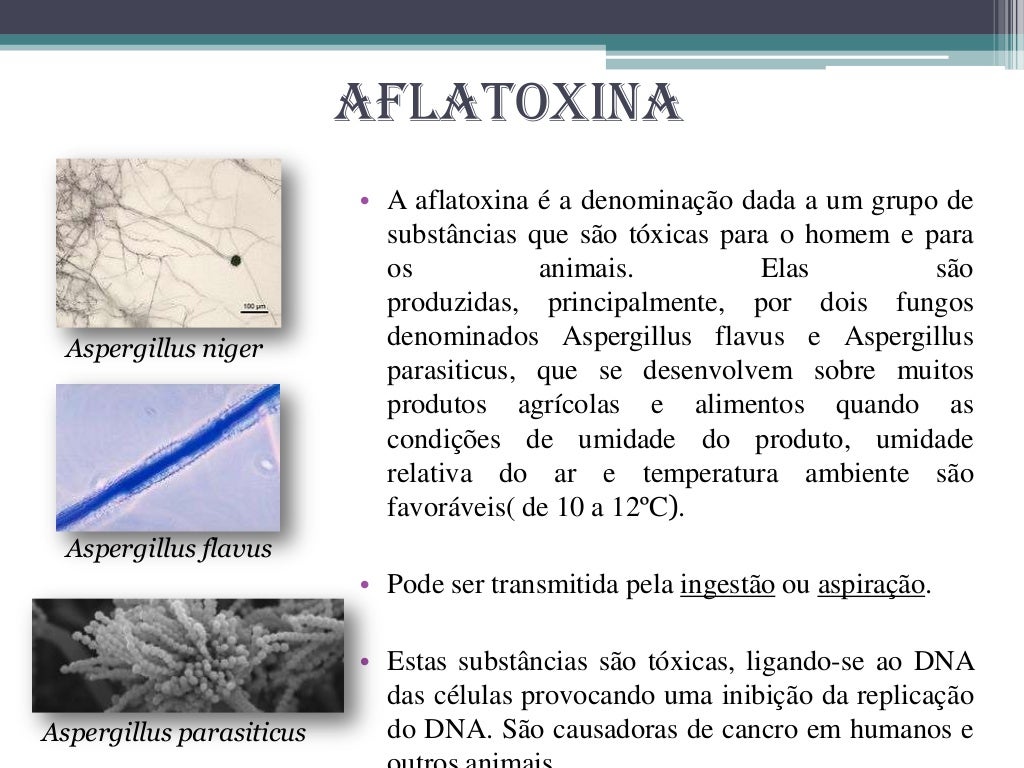 Aflatoxinas