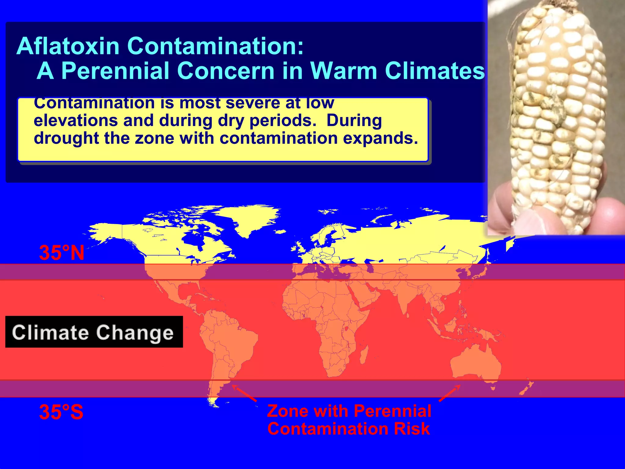 Aflatoxin basics | PPT