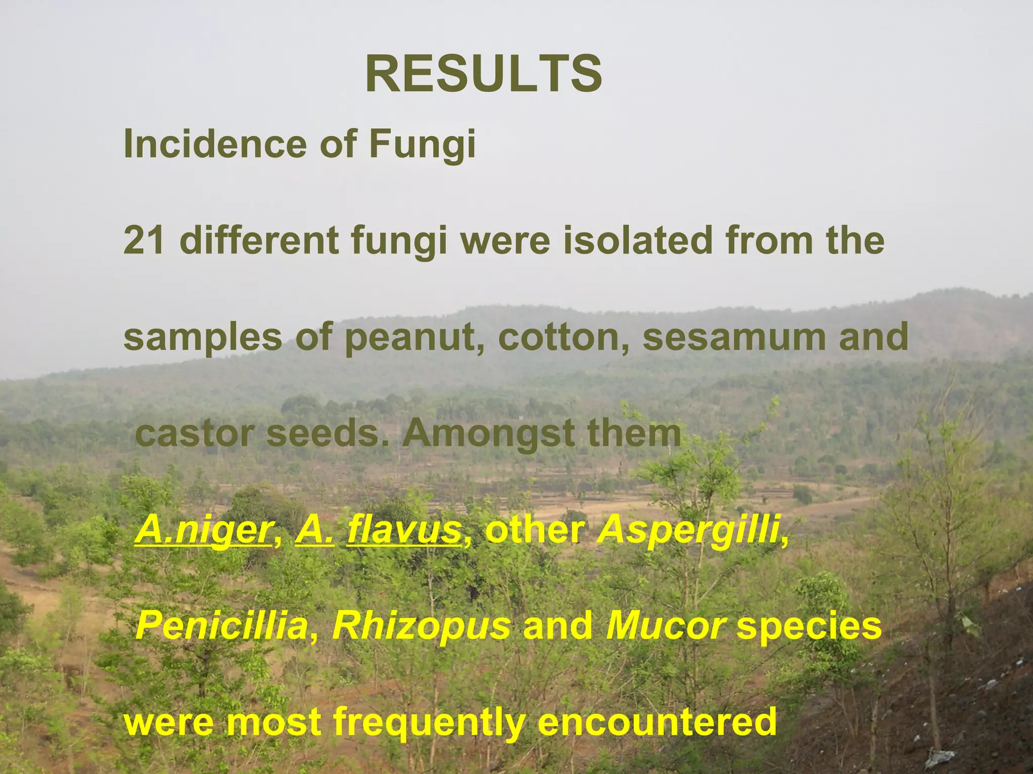 Aflatoxin contamination | PPS | Gardening | Home & Garden