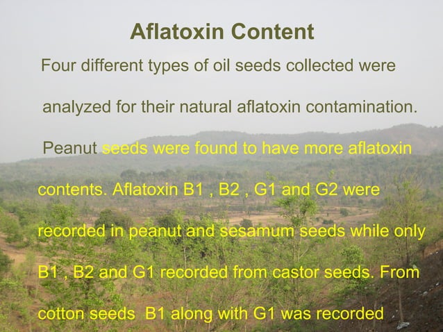 Aflatoxin contamination | PPT