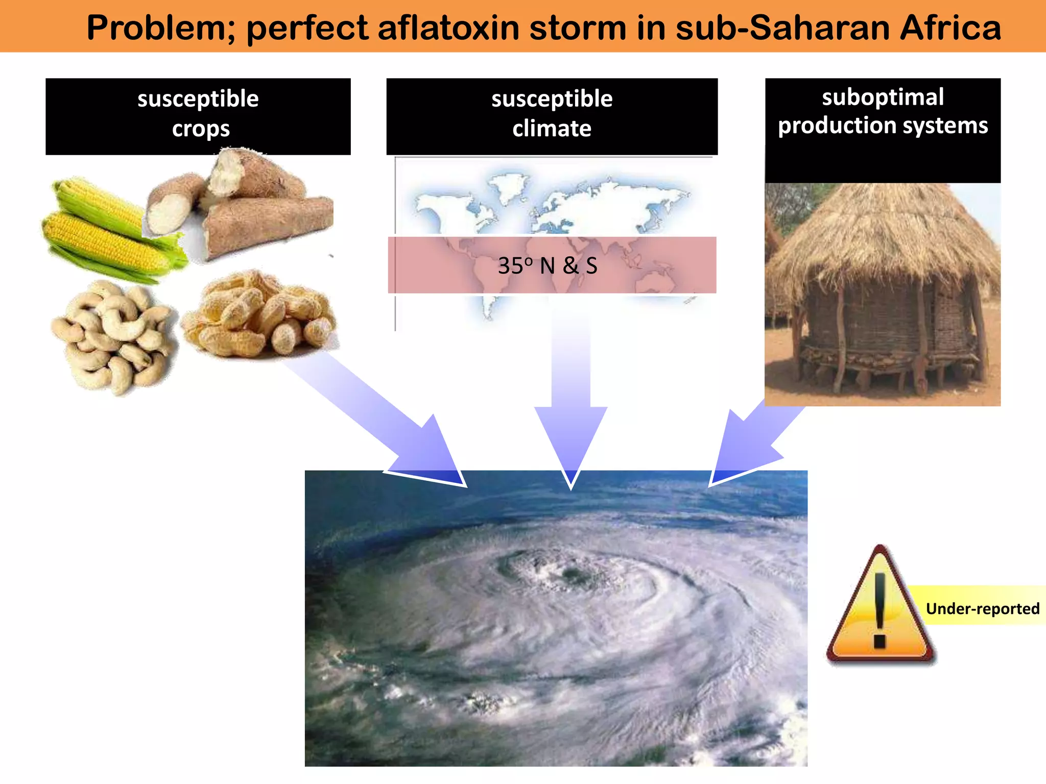 What are aflatoxins? | PPTX
