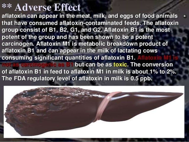 Aflatoxin M1 Incedince In Milk Graduation Project Presentation