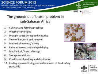Integrated groundnut aflatoxin management | PPTX