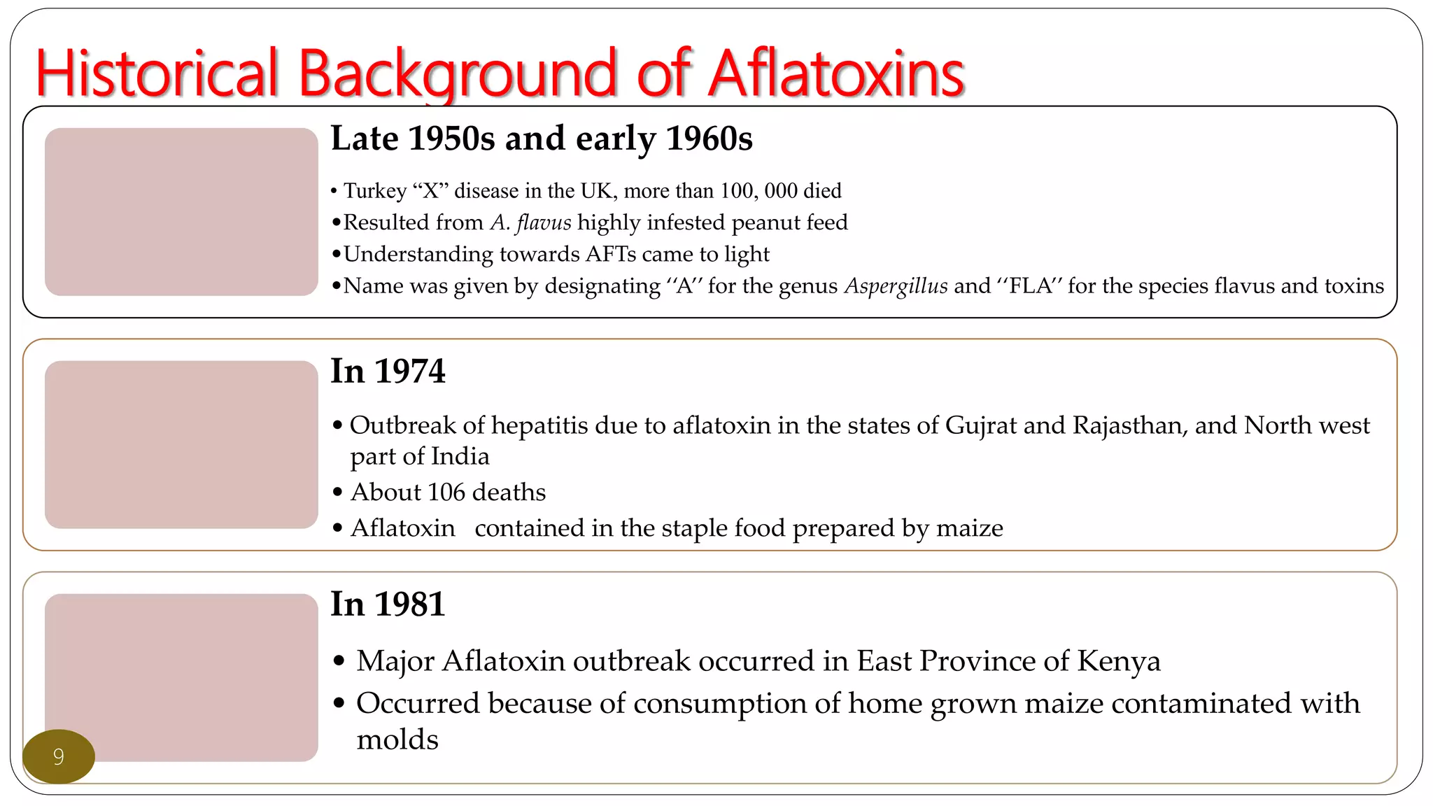 Aflatoxin presentation | PPTX