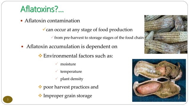 Aflatoxin presentation | PPTX