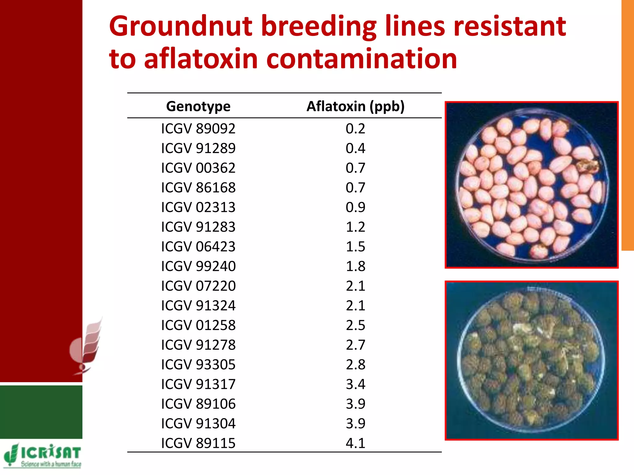 Genetic enhancement of groundnut for resistance to aflatoxin ...