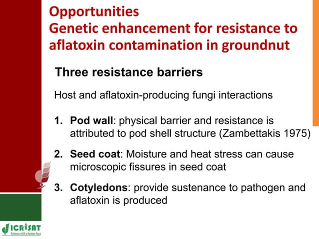 Genetic enhancement of groundnut for resistance to aflatoxin ...