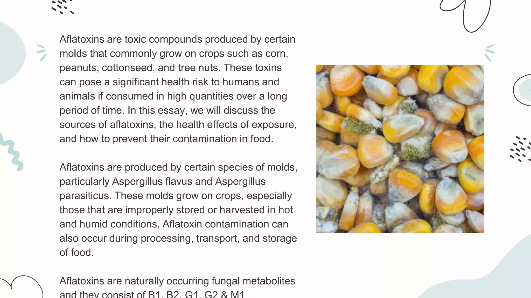 aflatoxins.pptx