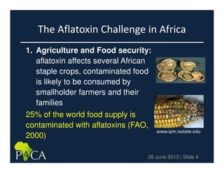 Aflatoxins impact on livestock and livestock trade | PPT